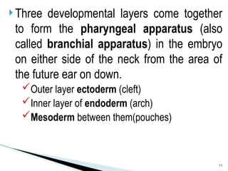 EMBRYOLOGY 9 PHARYNGEAL APPARATUS2.pptx