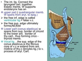E.N.T.Embryology & anatomy.(dr.mwaed) | PPT