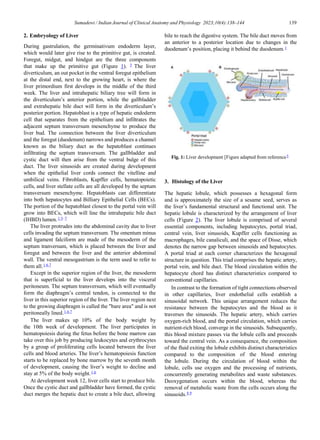 Embryology_anatomy_and_physiology_of_the_liver_Rev.pptx | Free Download