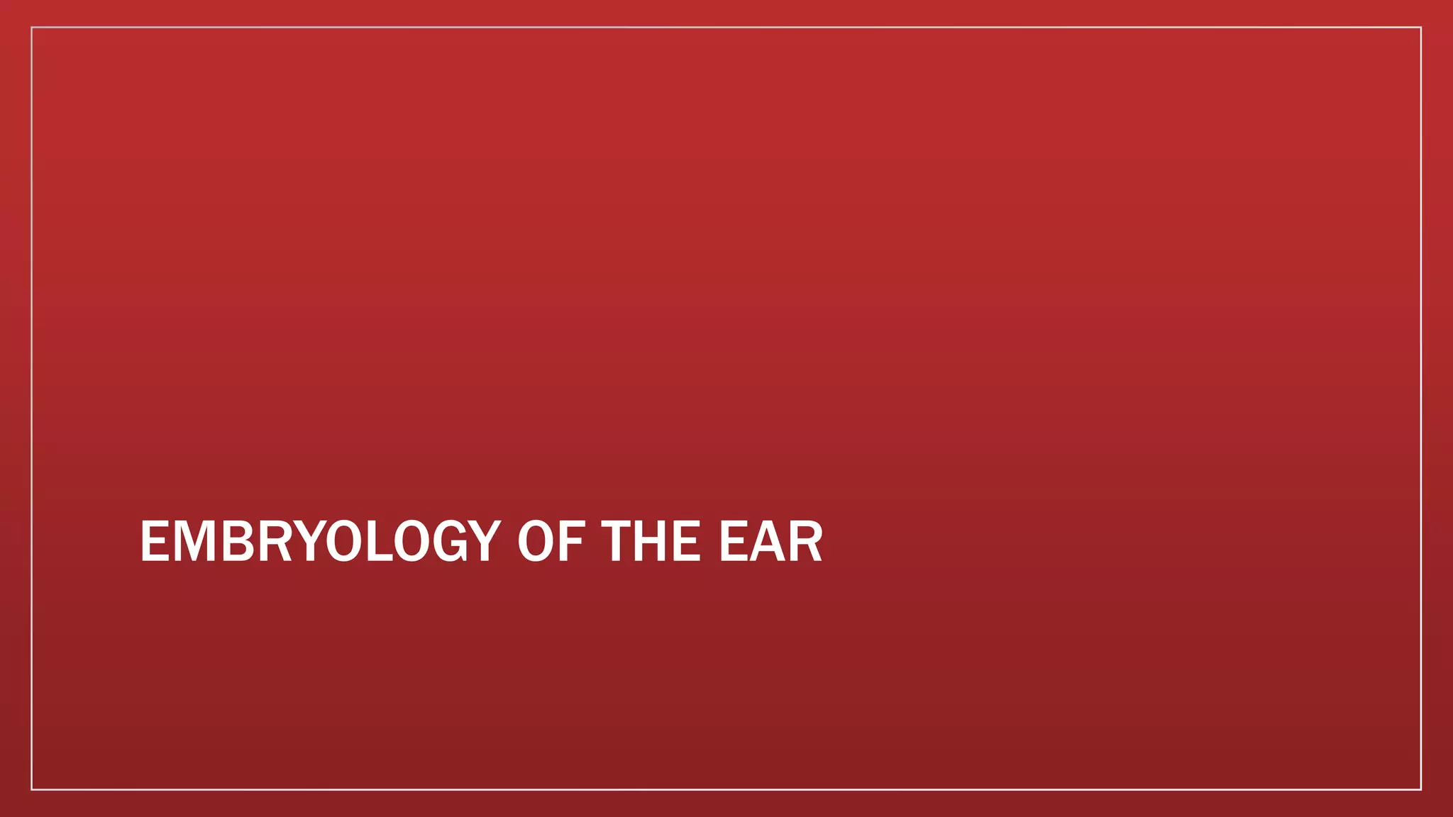 Embryology and anatomy of external and middle ear | PPTX
