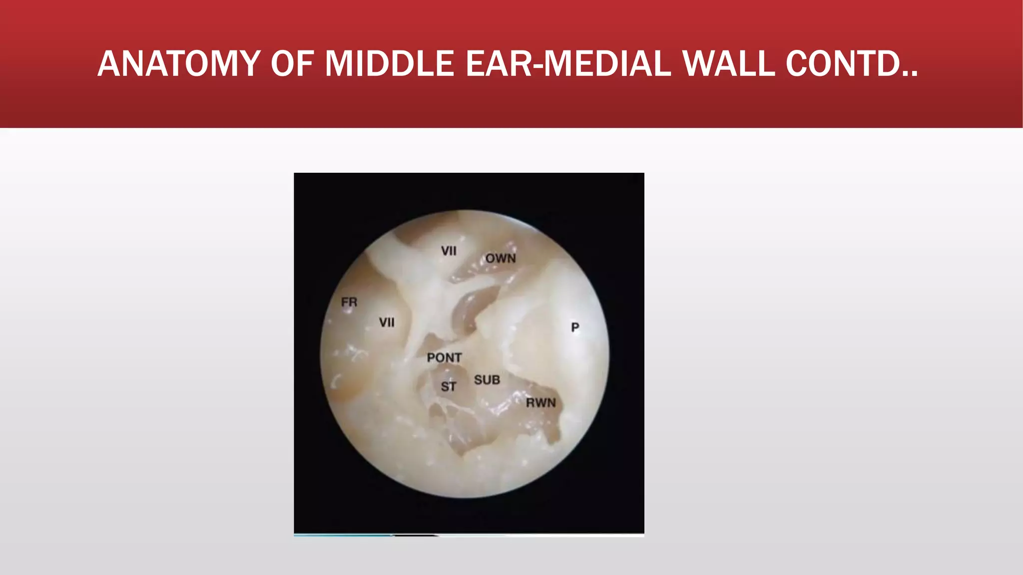 Embryology and anatomy of external and middle ear | PPTX