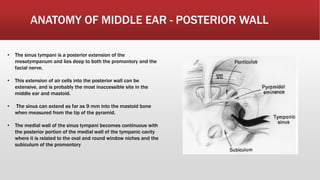 Embryology and anatomy of external and middle ear | PPTX