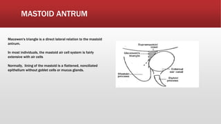 Embryology and anatomy of external and middle ear | PPTX