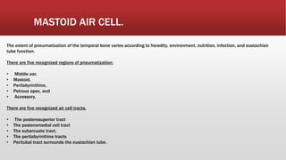 Embryology and anatomy of external and middle ear | PPTX