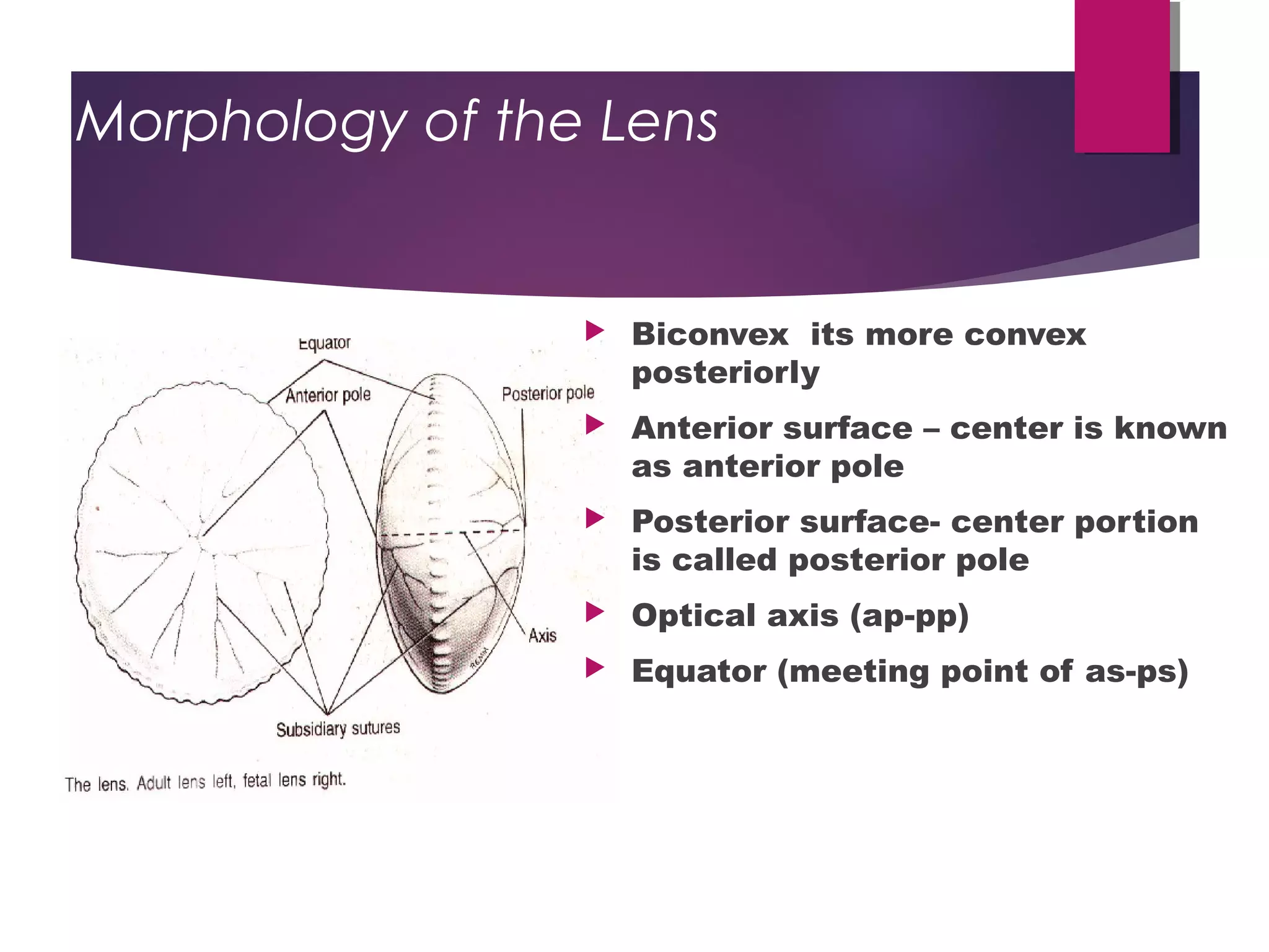 Embryology and anatomy of human lens | PPT