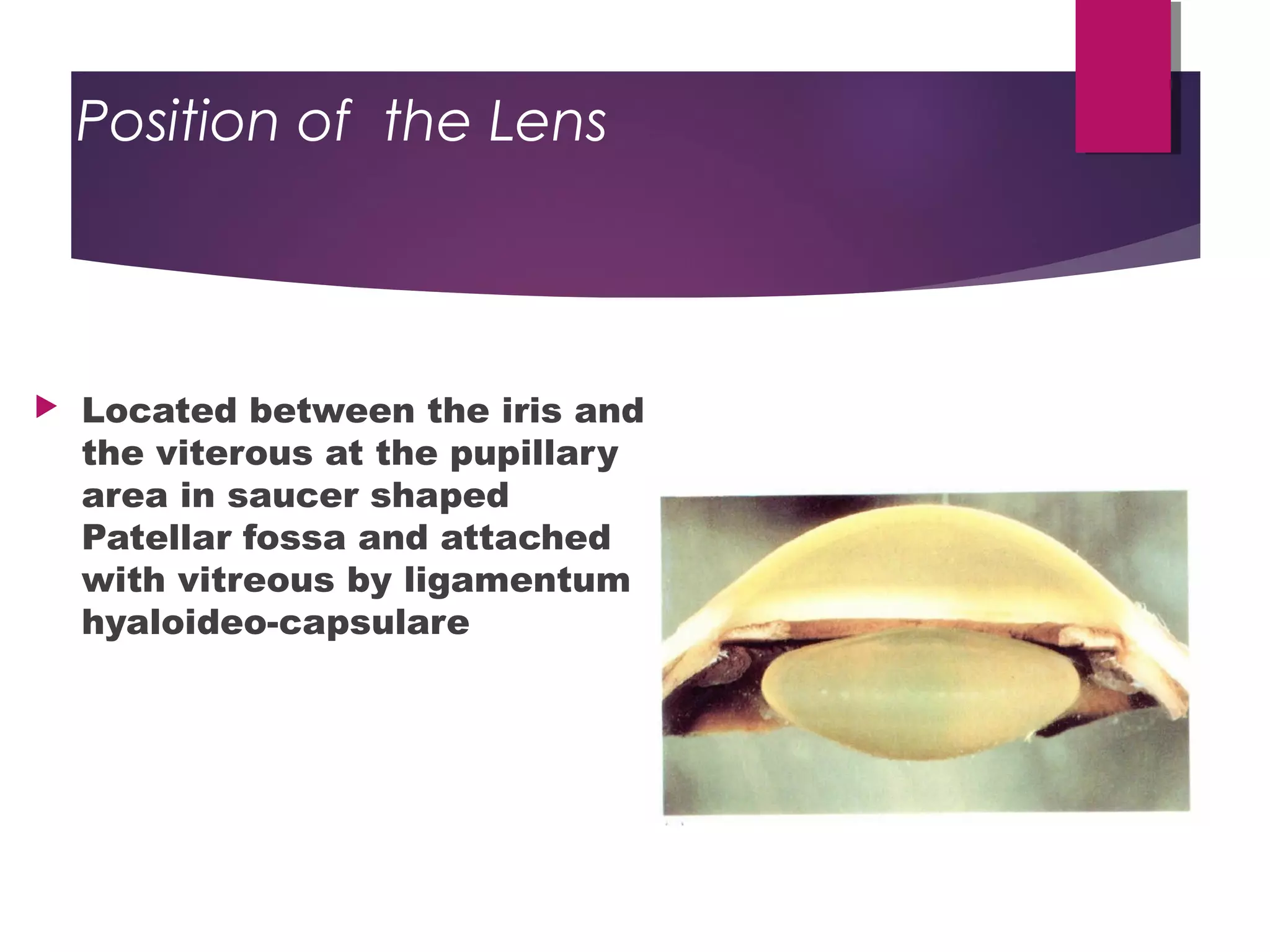 Embryology and anatomy of human lens | PPT