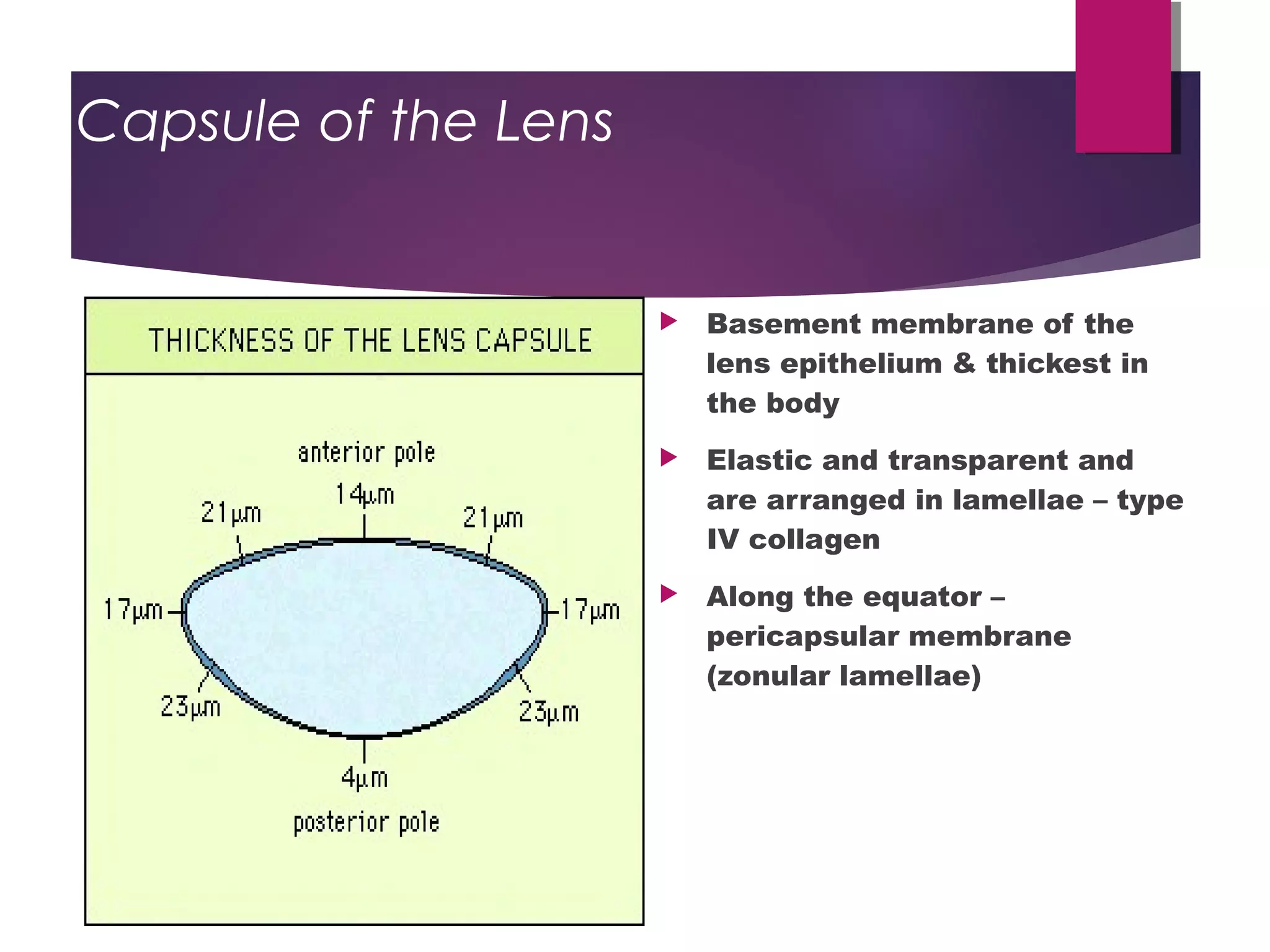 Embryology and anatomy of human lens | PPT