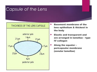 Embryology and anatomy of human lens | PPT