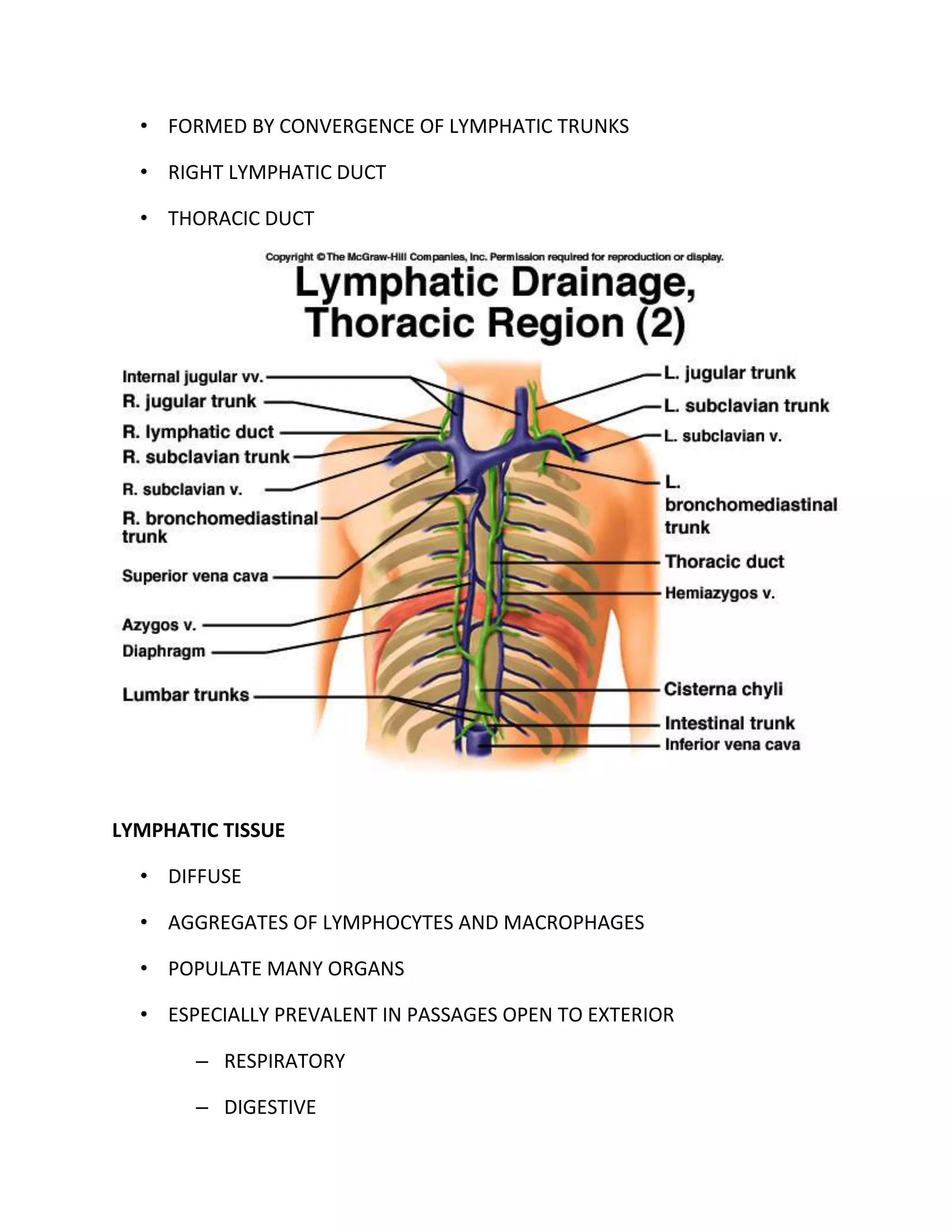 Embryology and anatomy of lymphatics | DOCX