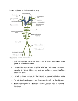 Embryology and anatomy of lymphatics | DOCX