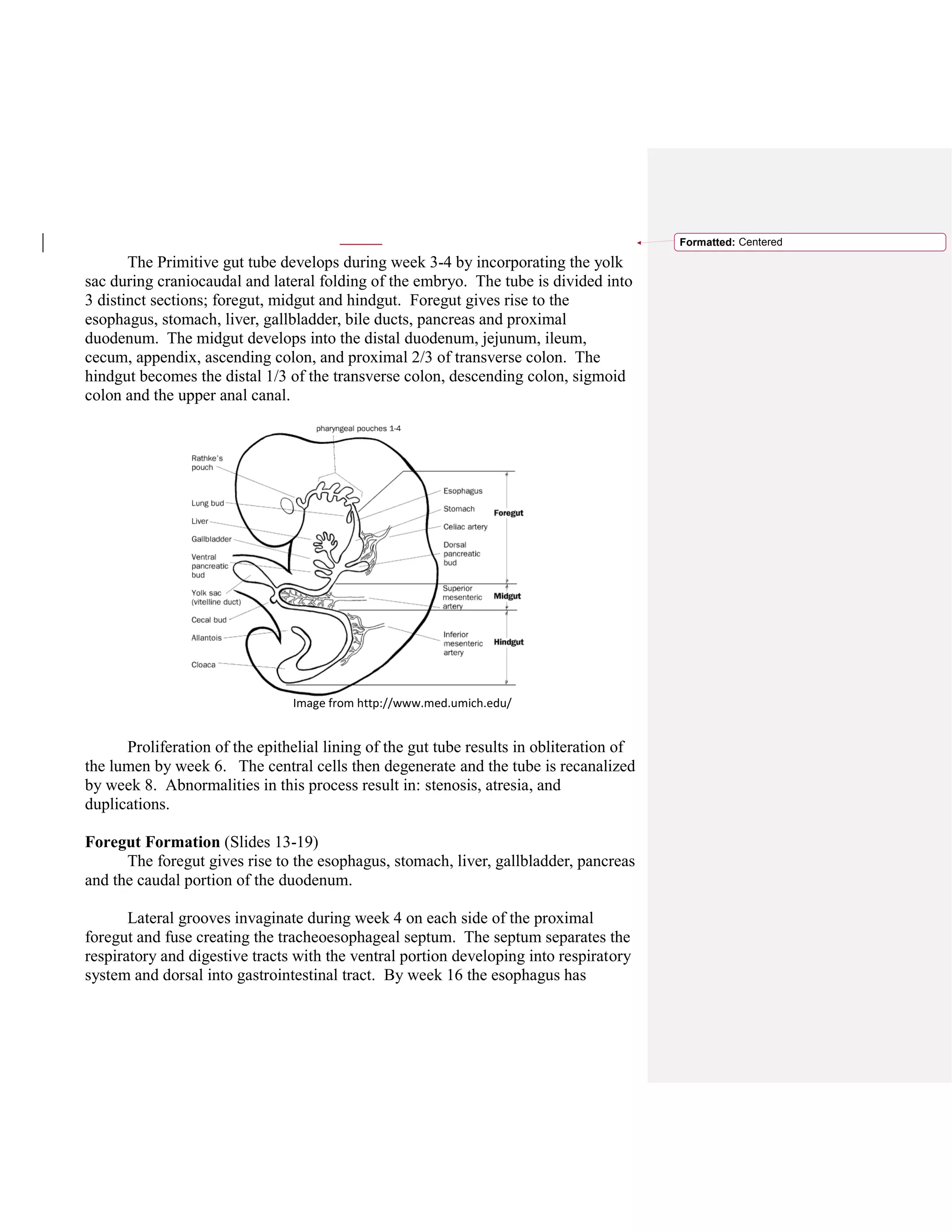 Embryology_and_Anatomy_of_the_Gastrointestinal_Tract_NASPGHAN.pdf