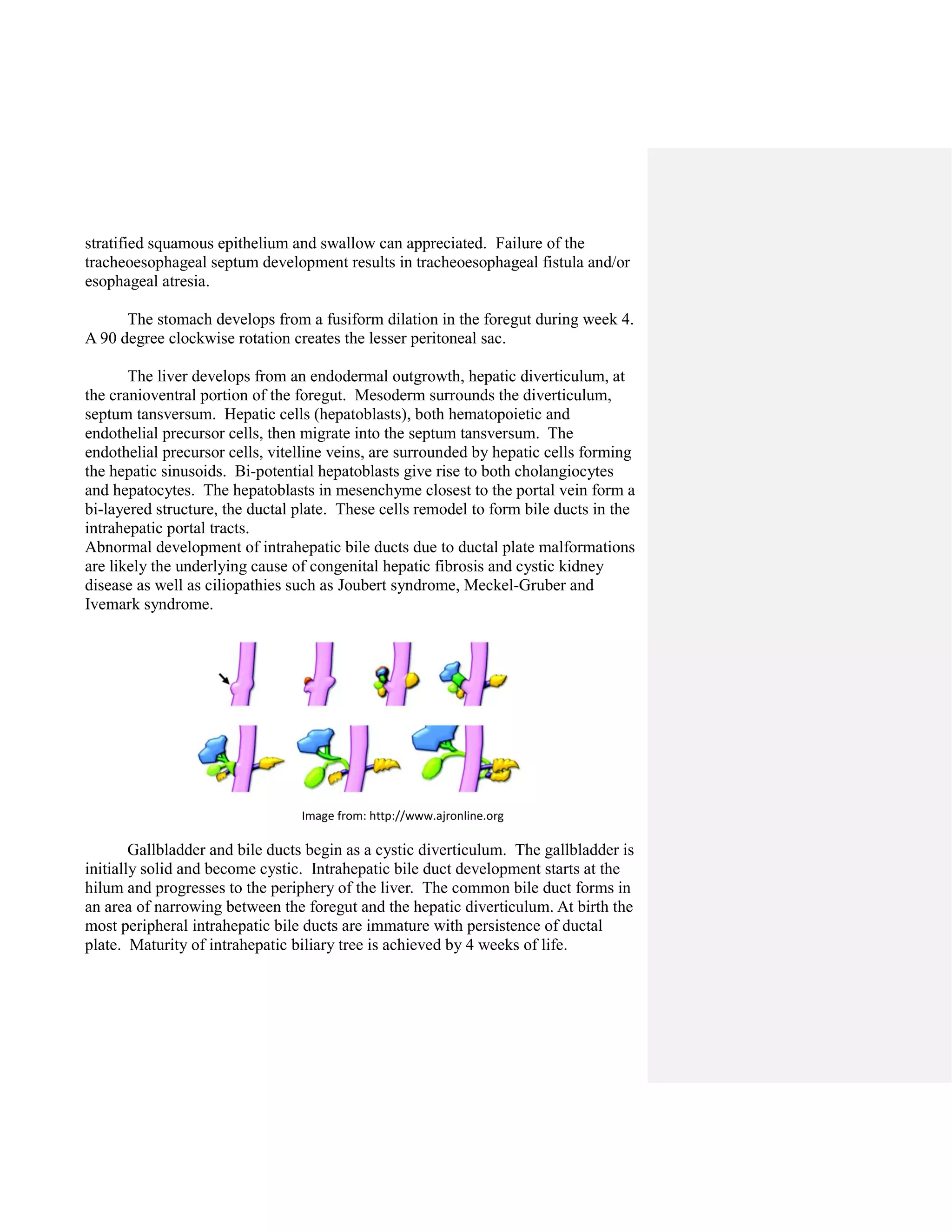 Embryology_and_Anatomy_of_the_Gastrointestinal_Tract_NASPGHAN.pdf