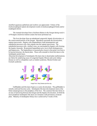 Embryology_and_Anatomy_of_the_Gastrointestinal_Tract_NASPGHAN.pdf