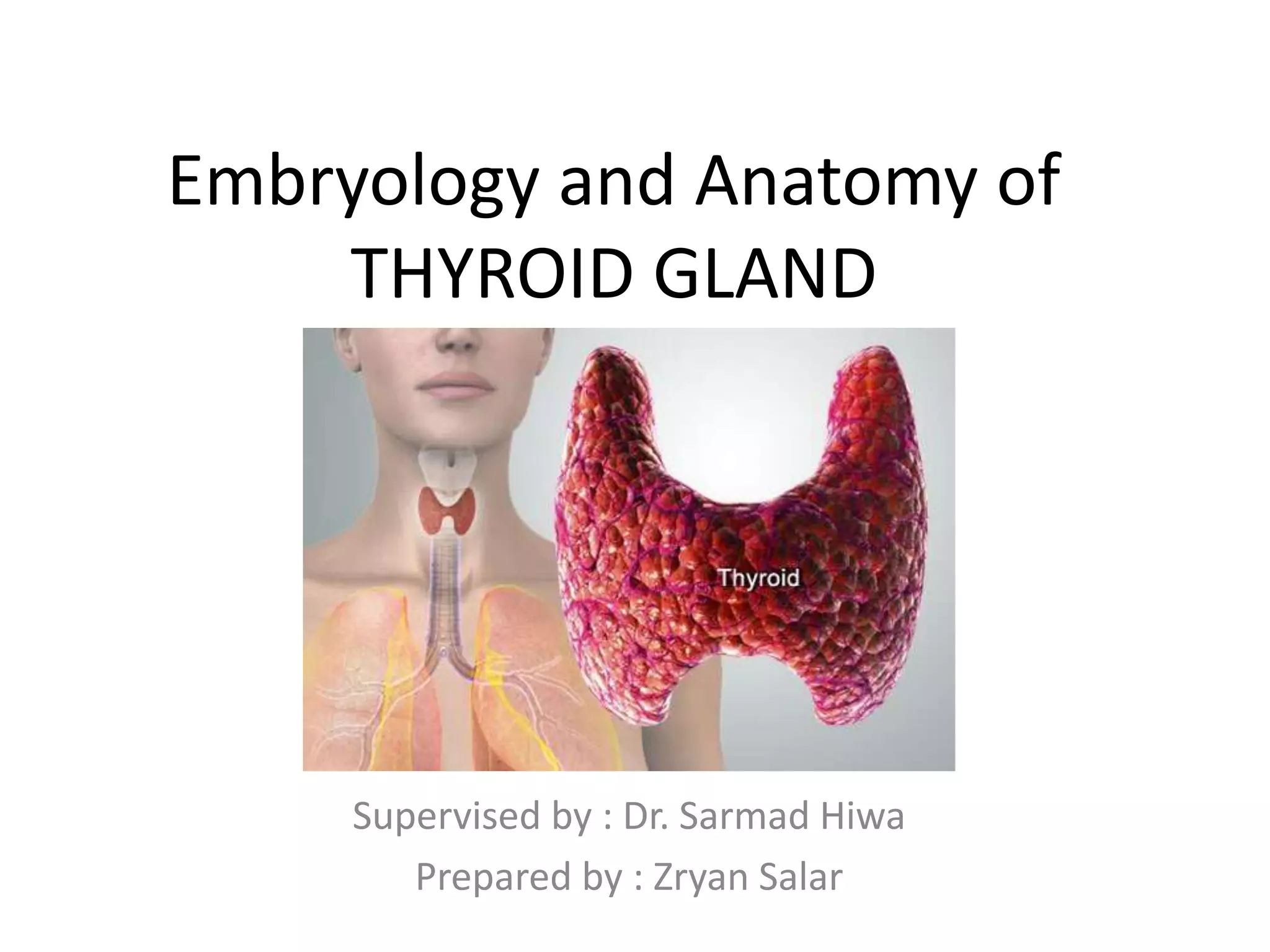 Embryology and Anatomy of Thyroid Gland.pptx