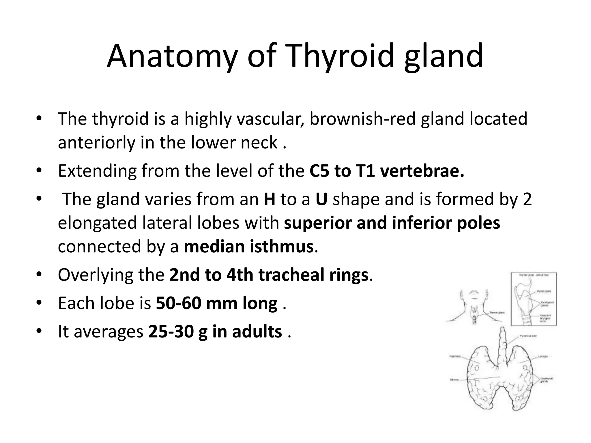 Embryology and Anatomy of Thyroid Gland.pptx
