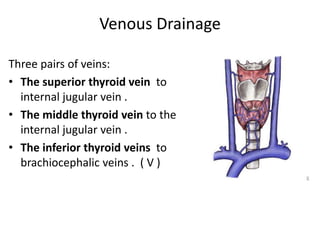 Embryology and Anatomy of Thyroid Gland.pptx