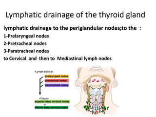 Embryology and Anatomy of Thyroid Gland.pptx