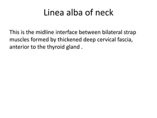 Embryology and Anatomy of Thyroid Gland.pptx