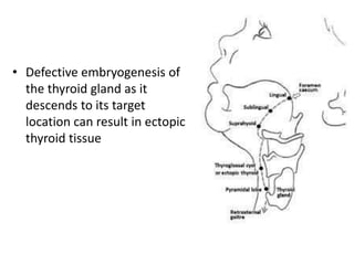 Embryology and Anatomy of Thyroid Gland.pptx