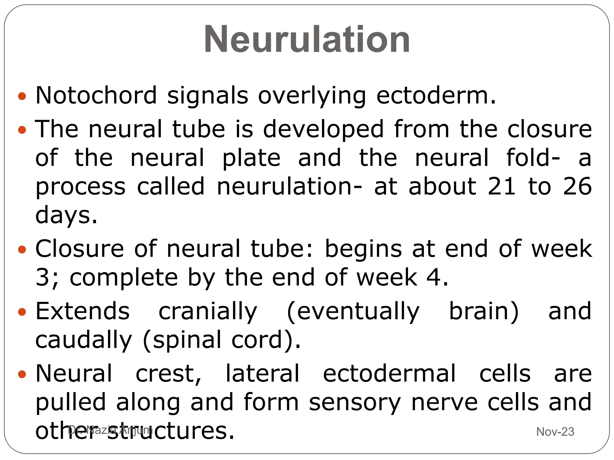 Human Embryology and Development of Major Organ System.pptx