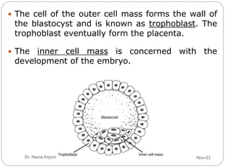 Human Embryology and Development of Major Organ System.pptx