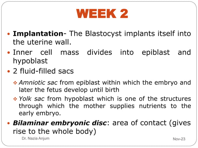 Human Embryology and Development of Major Organ System.pptx