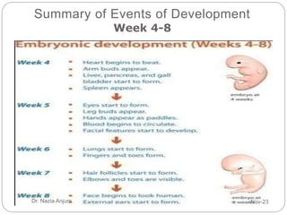 Human Embryology and Development of Major Organ System.pptx