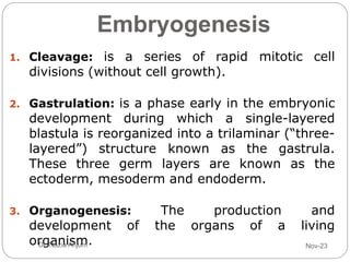 Human Embryology and Development of Major Organ System.pptx
