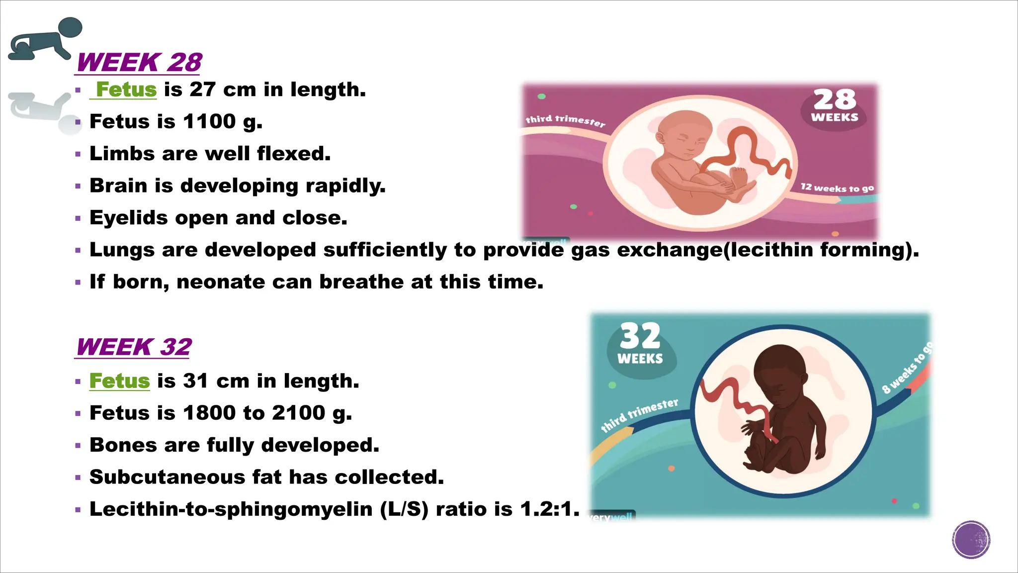 FORMATION OF EMBRYO and FETAL DEVELOPMENT.pdf