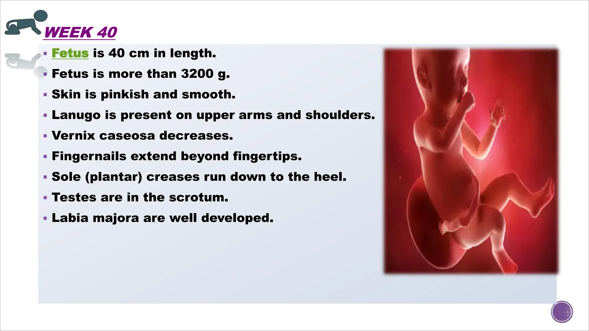 FORMATION OF EMBRYO and FETAL DEVELOPMENT.pdf
