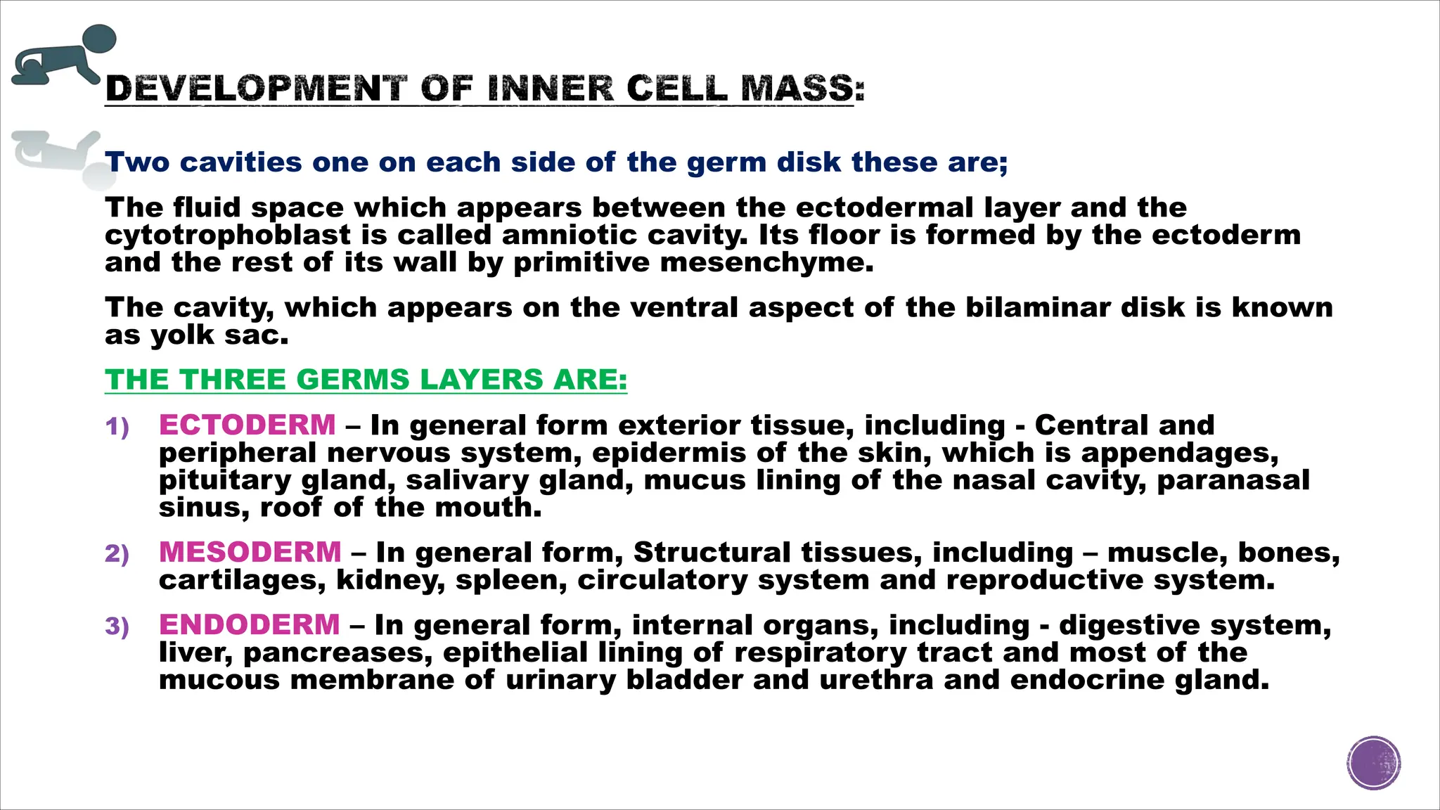 FORMATION OF EMBRYO and FETAL DEVELOPMENT.pdf