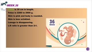 FORMATION OF EMBRYO and FETAL DEVELOPMENT.pdf