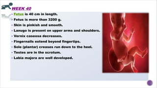 FORMATION OF EMBRYO and FETAL DEVELOPMENT.pdf