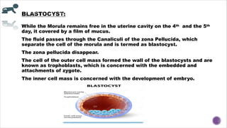 FORMATION OF EMBRYO and FETAL DEVELOPMENT.pdf