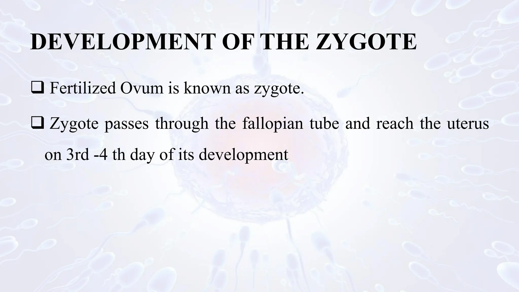 EMBRYOLOGY AND FOETAL DEVELOPMENT-mayu.pdf