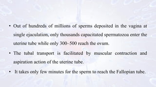 EMBRYOLOGY AND FOETAL DEVELOPMENT-mayu.pdf