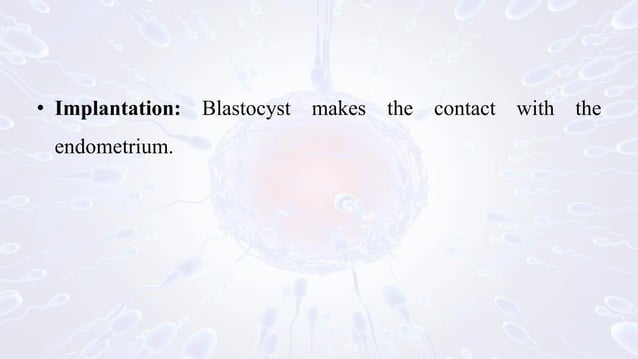 EMBRYOLOGY AND FOETAL DEVELOPMENT-mayu.pdf