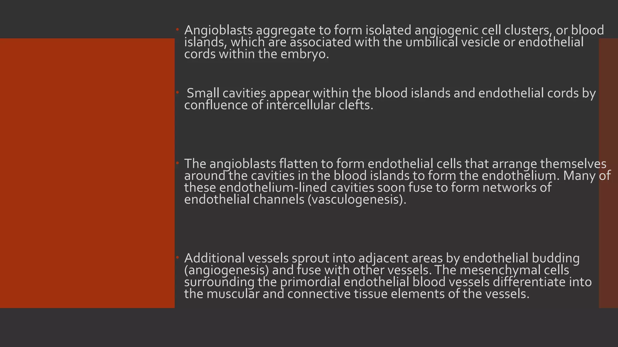 Embryology and histology of bloodvessels | PPTX
