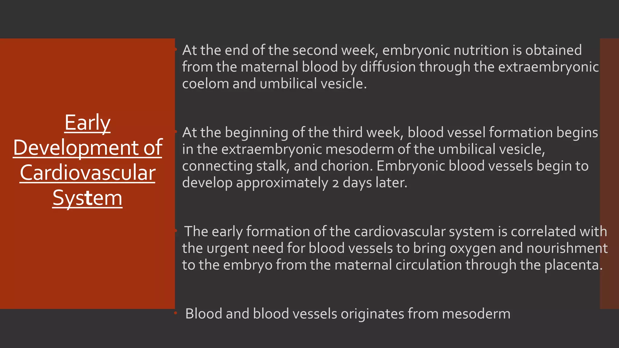 Embryology and histology of bloodvessels | PPTX