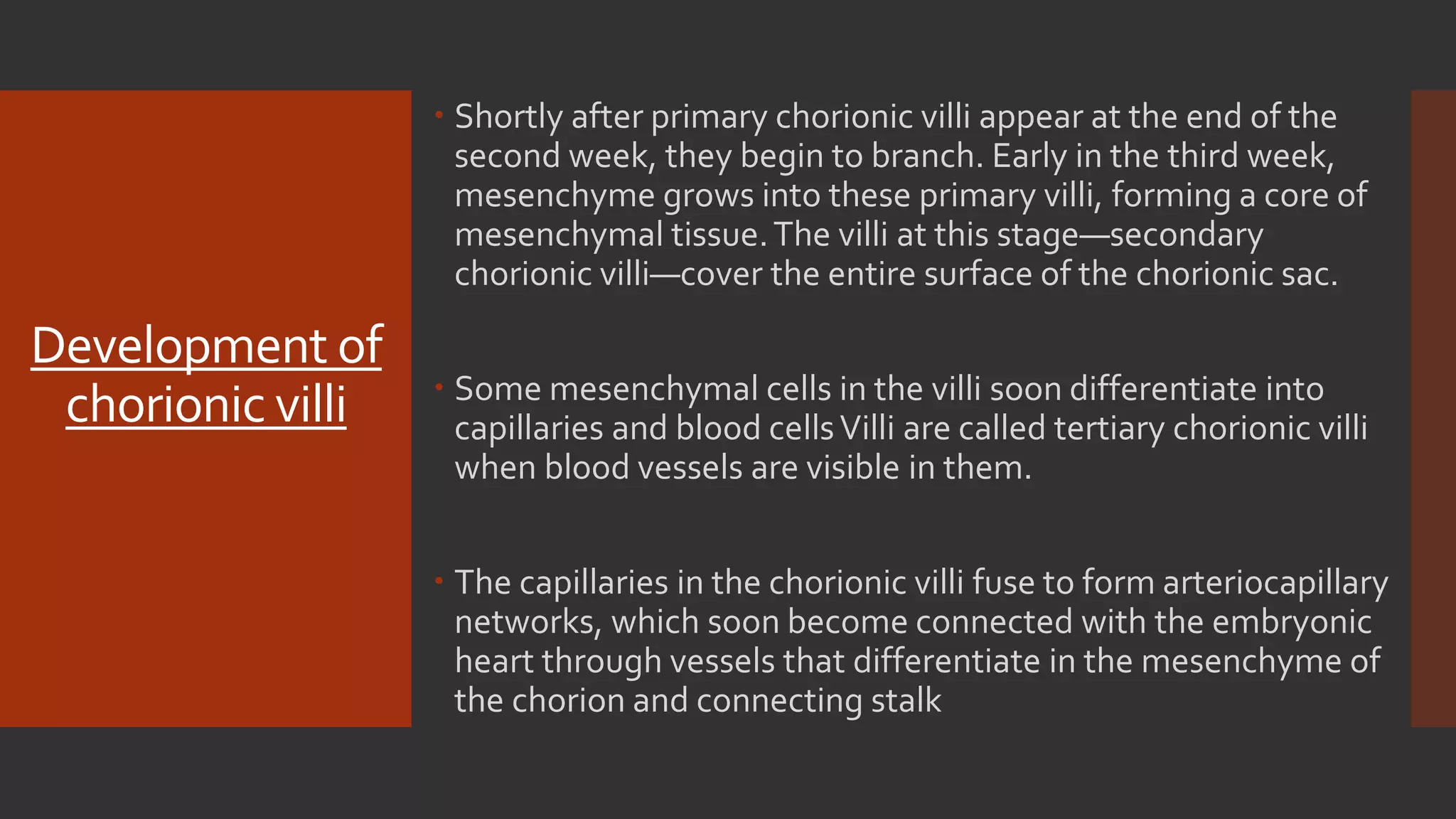 Embryology and histology of bloodvessels | PPTX