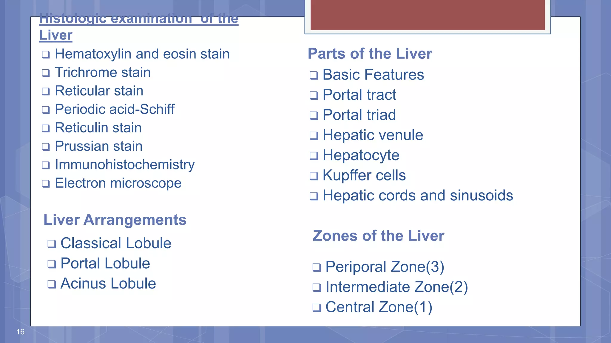 Embryology and histology of the liver | PPTX | Blood Disorders ...