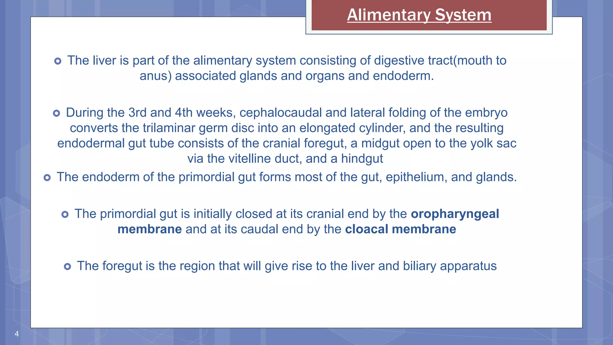 Embryology and histology of the liver | PPTX