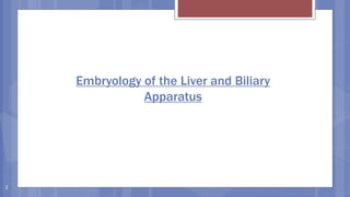 Embryology and histology of the liver | PPTX
