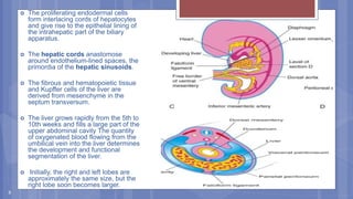 Embryology and histology of the liver | PPTX