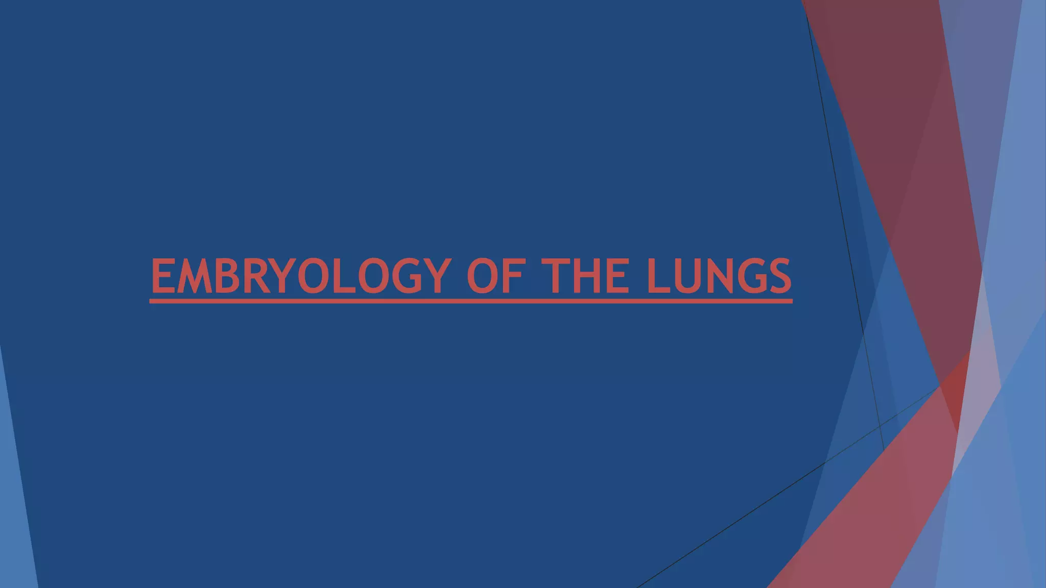Embryology and histology of the lung | PPTX