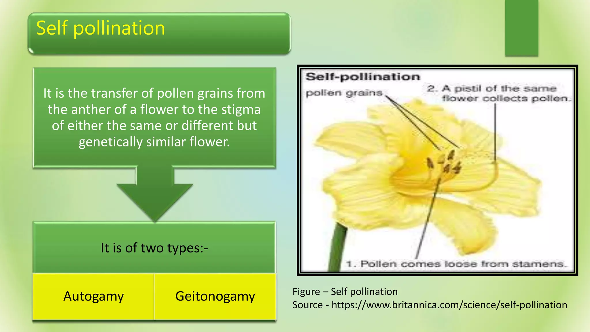 Embryology and taxonomy | PPTX