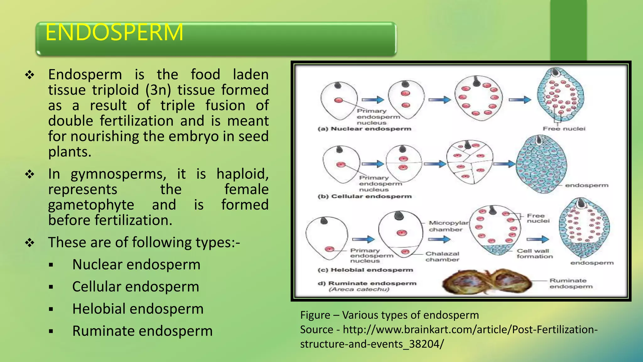 Embryology and taxonomy | PPTX