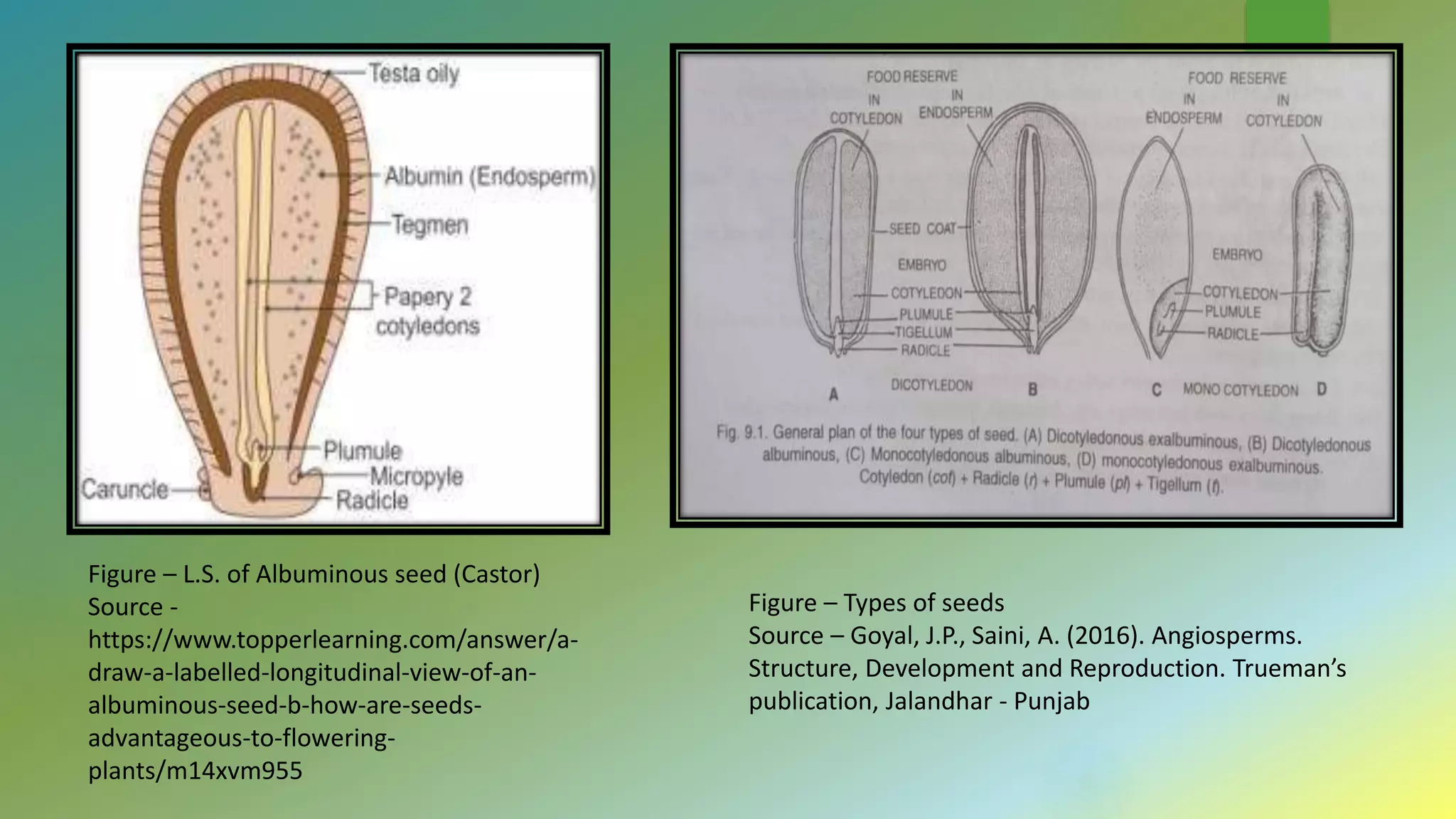 Embryology and taxonomy | PPTX