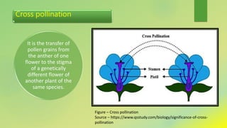 Embryology and taxonomy | PPTX
