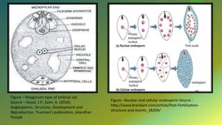 Embryology and taxonomy | PPTX